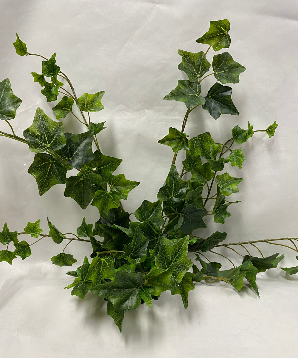Ivy Bunch – Keepsakes and Memories Inc.