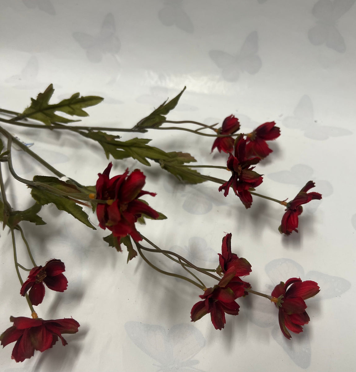 Mini Cosmos Spray -Red/Green – Keepsakes and Memories Inc.